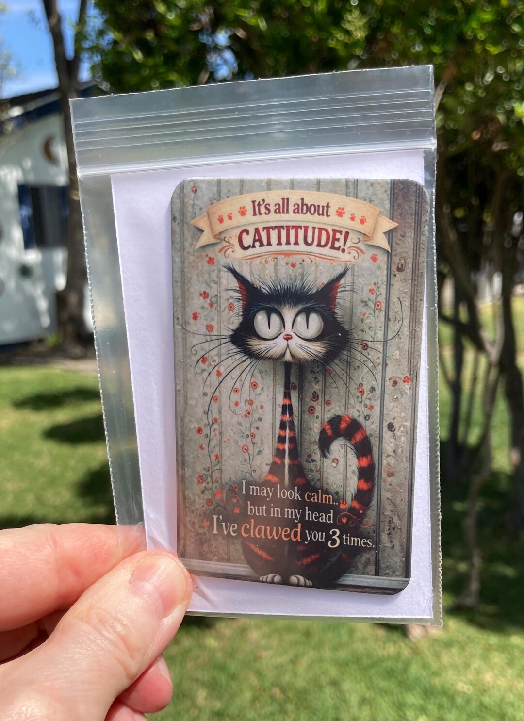 It's All About CATTITUDE! Sassy Cat Magnet - Etsy