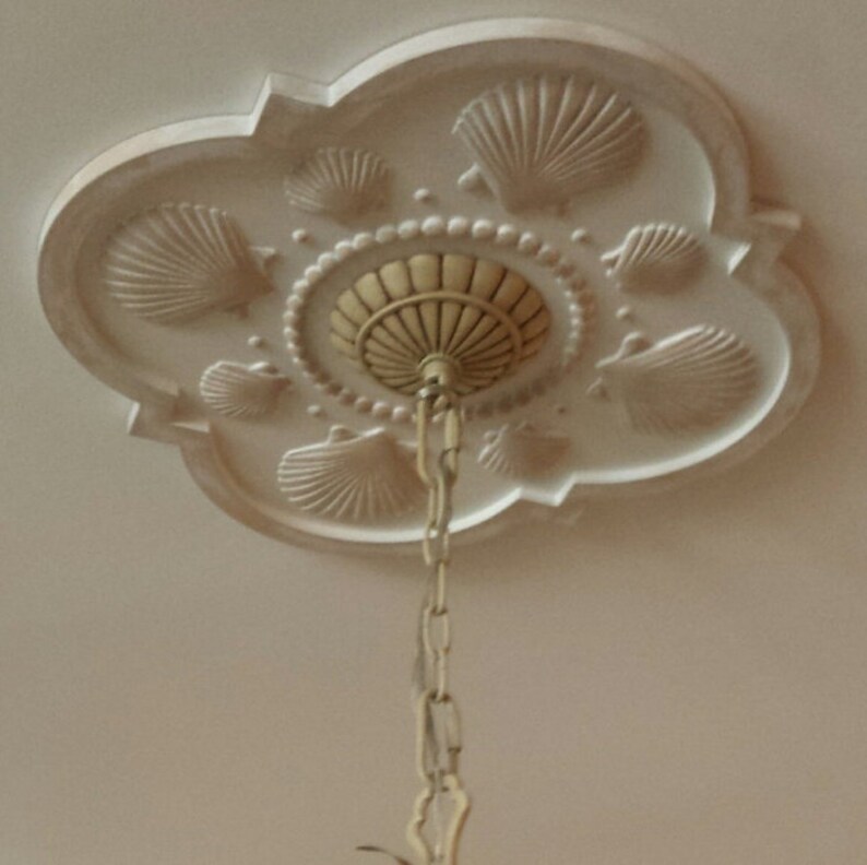 Seashell Ceiling Medallion Ceiling Medallions Seashell - Etsy