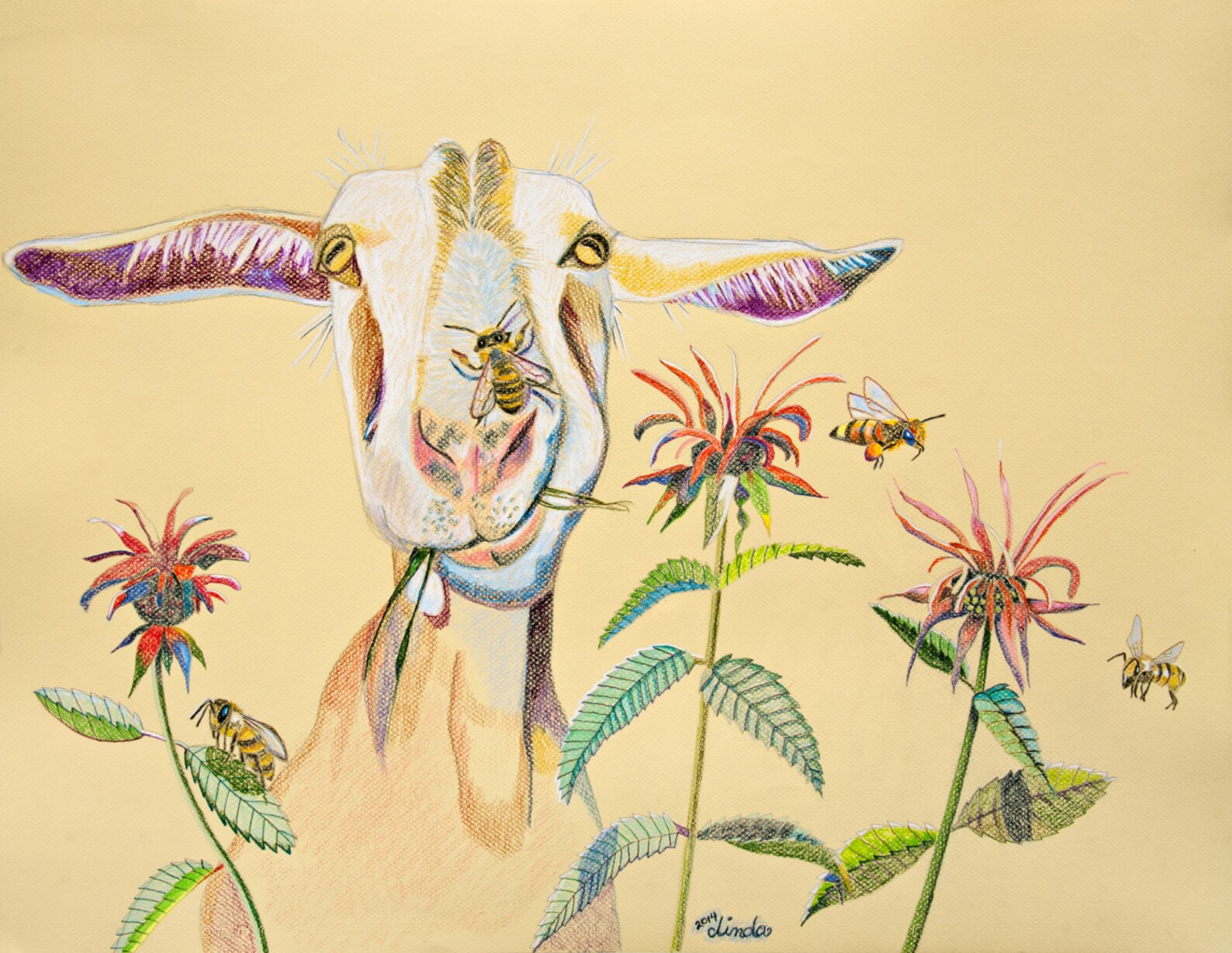 Art Print Goat Bee Balm and Honey Bees - Etsy