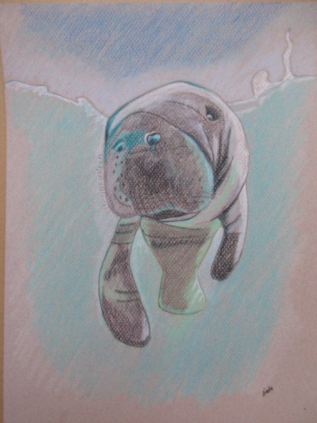 Manatee Original Colored Pencil Drawing - Etsy