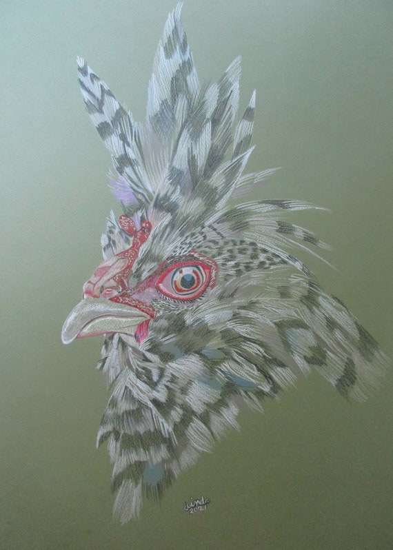 Punk Rock Chicken Original Drawing Fancy Butt Chicken Colored - Etsy