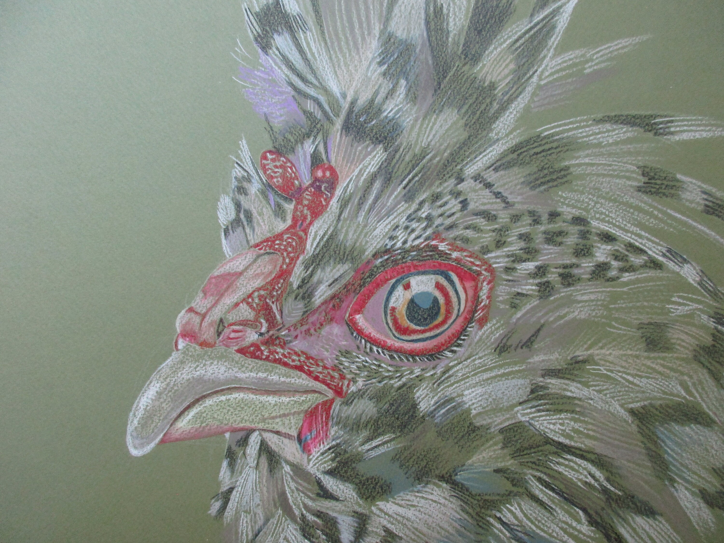 Punk Rock Chicken Original Drawing Fancy Butt Chicken Colored Pencil - Etsy