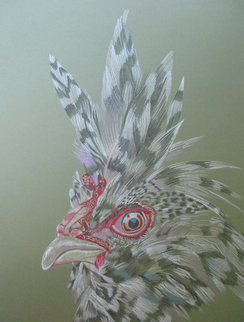Punk Rock Chicken Original Drawing Fancy Butt Chicken Colored Pencil - Etsy