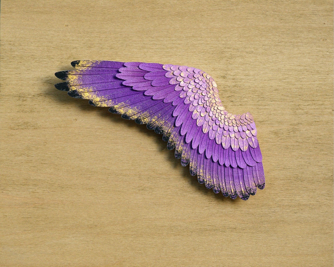 OOAK "sorceress" Cut-paper Wing Sculpture in Shadowbox - Etsy