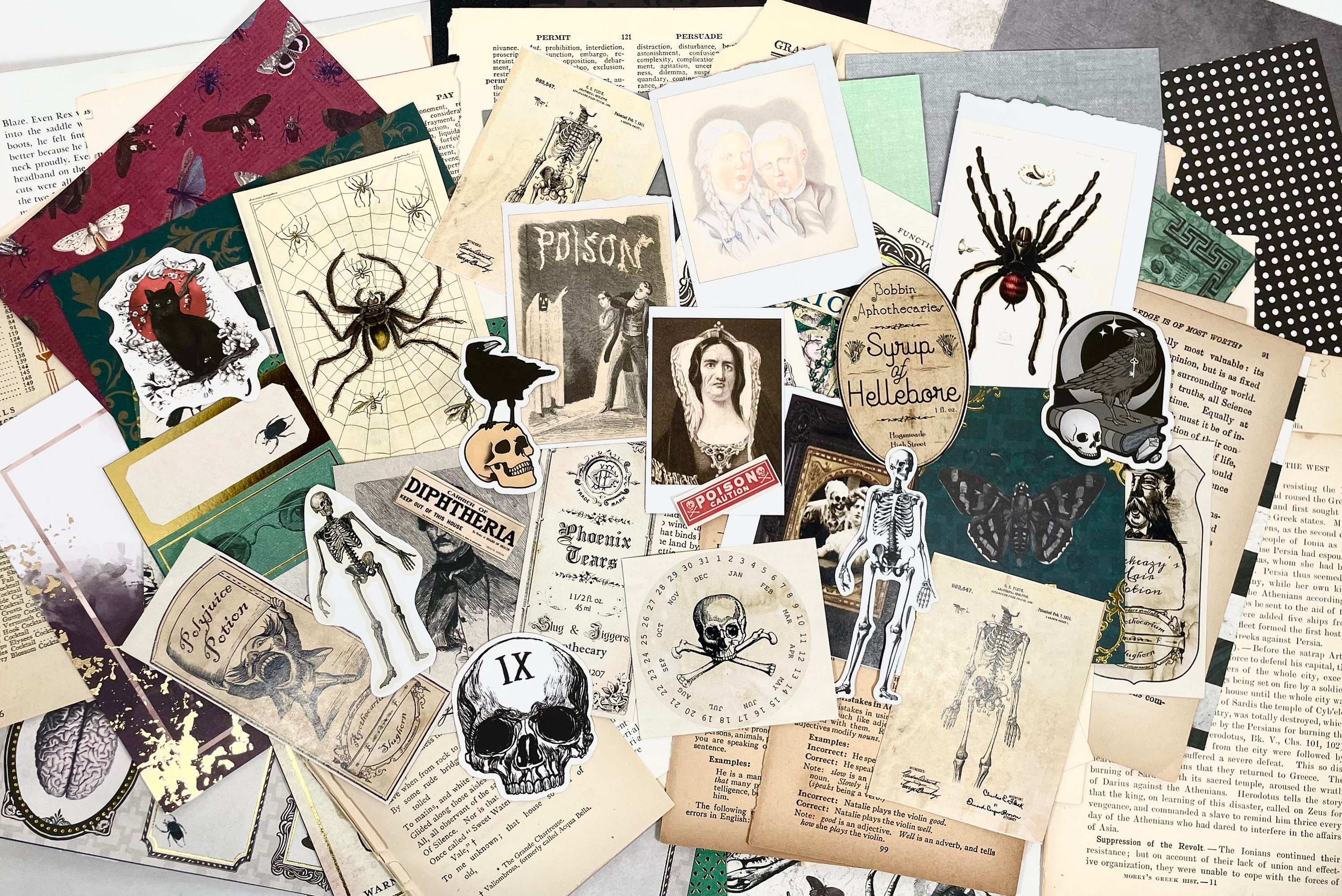 Spooky Apothecary Junk Journal/collage Kit - Etsy