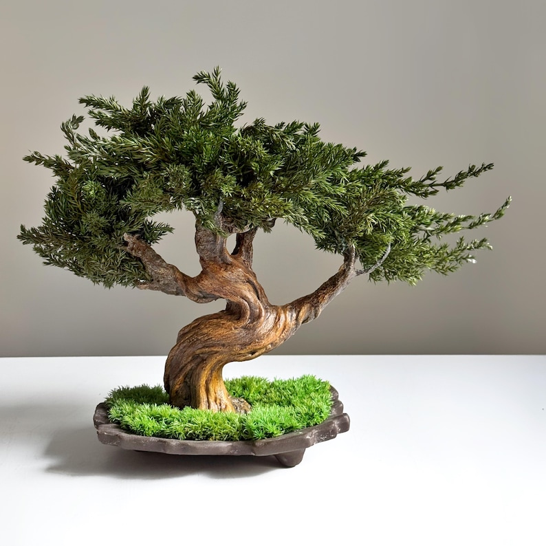 Handmade Preserved Juniper Bonsai Tree, Ceramic Pot Zen Decor, Low ...