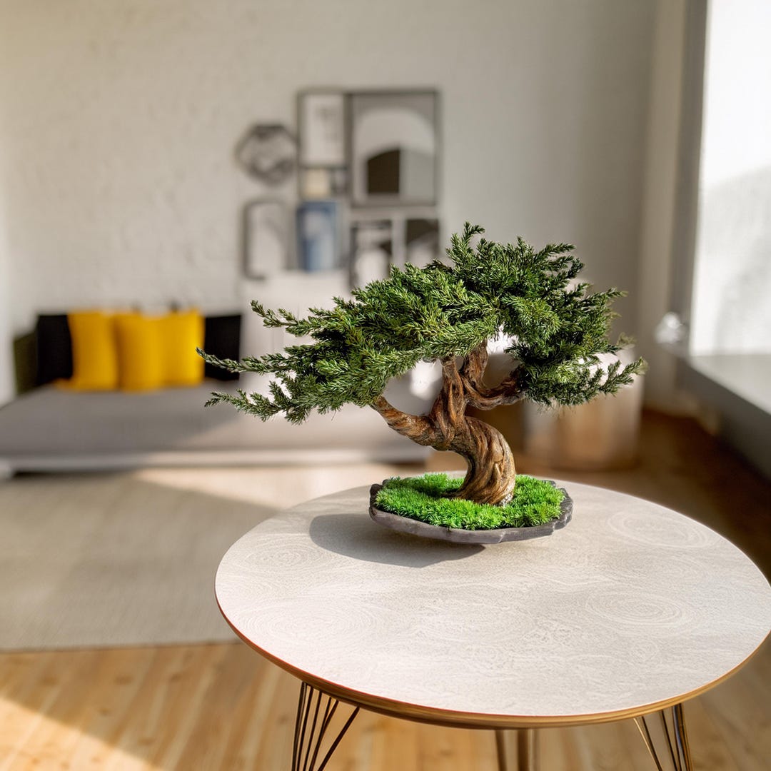 Handmade Preserved Juniper Bonsai Tree, Ceramic Pot Zen Decor, Low ...