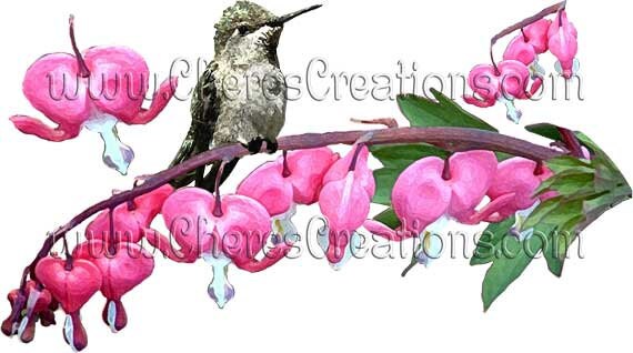 Bleedingheart and Hummingbird Digital Clip Art Sheet | Etsy