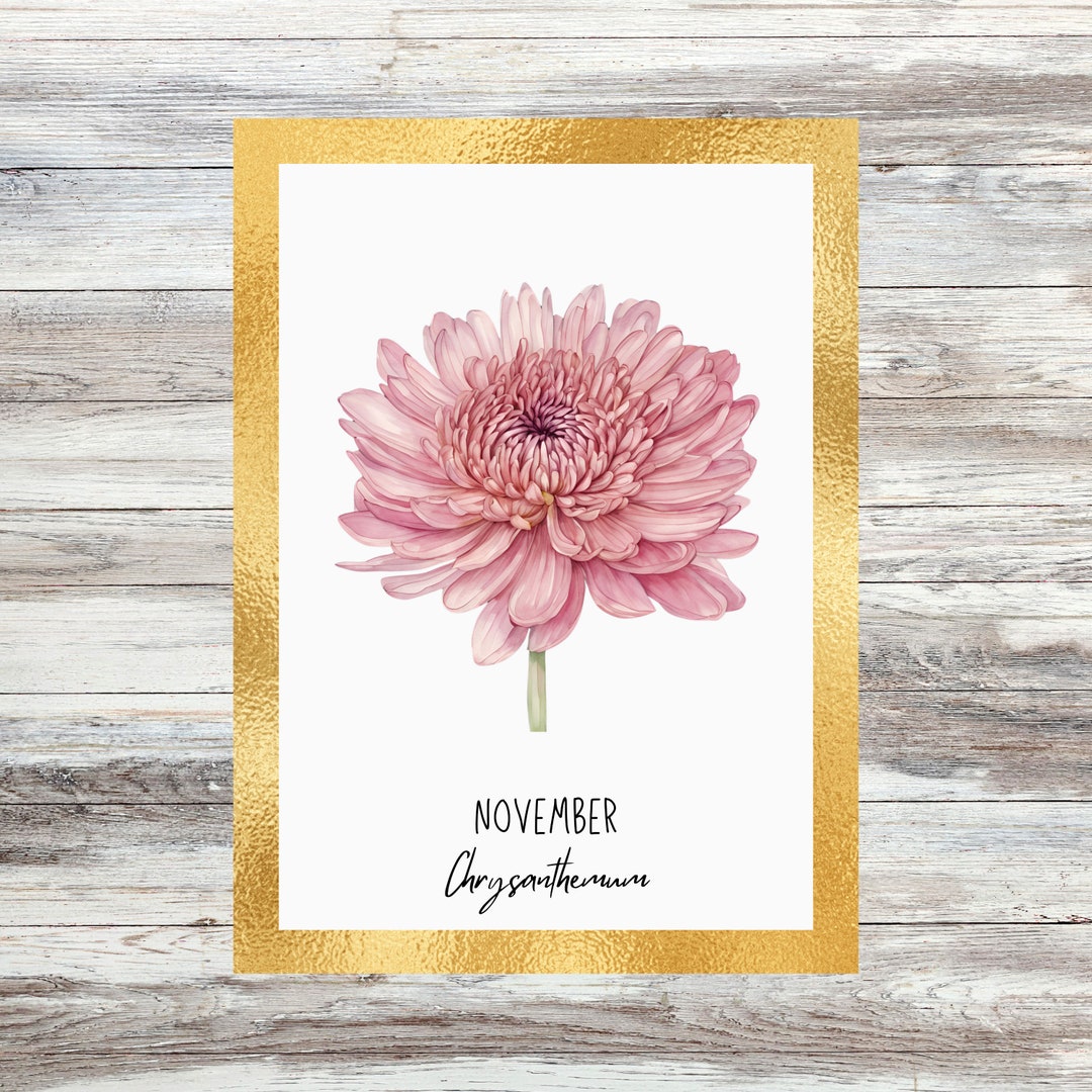 November Birth Flower Print, November Birth Month Flower, Chrysanthemum ...