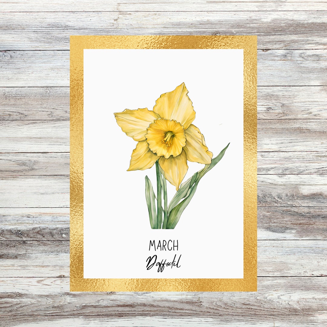 March Birth Flower Print, March Birth Month Flower, Daffodil Flower ...