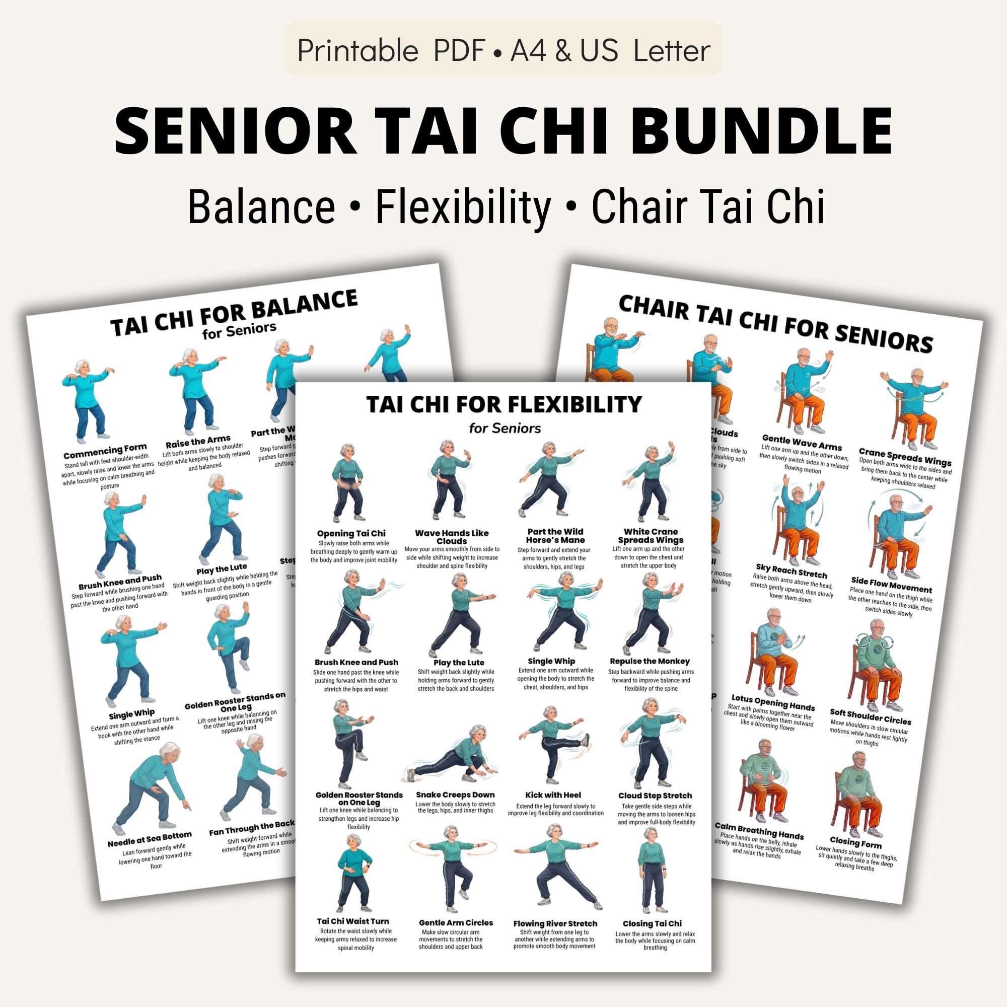 Senior Tai Chi Exercise Bundle, Balance & Flexibility Tai Chi for ...