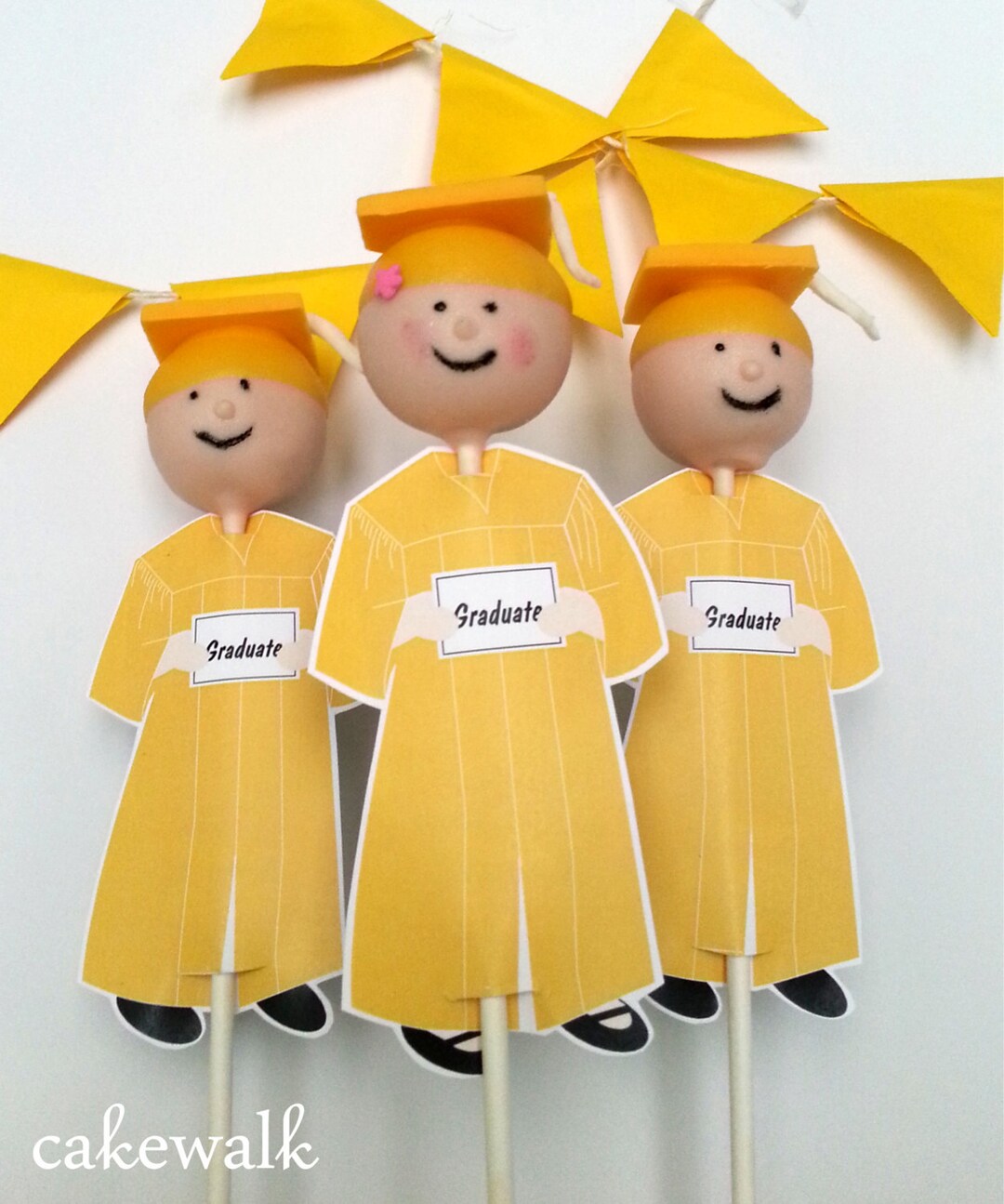 Graduate Cake Pop Printables - Etsy
