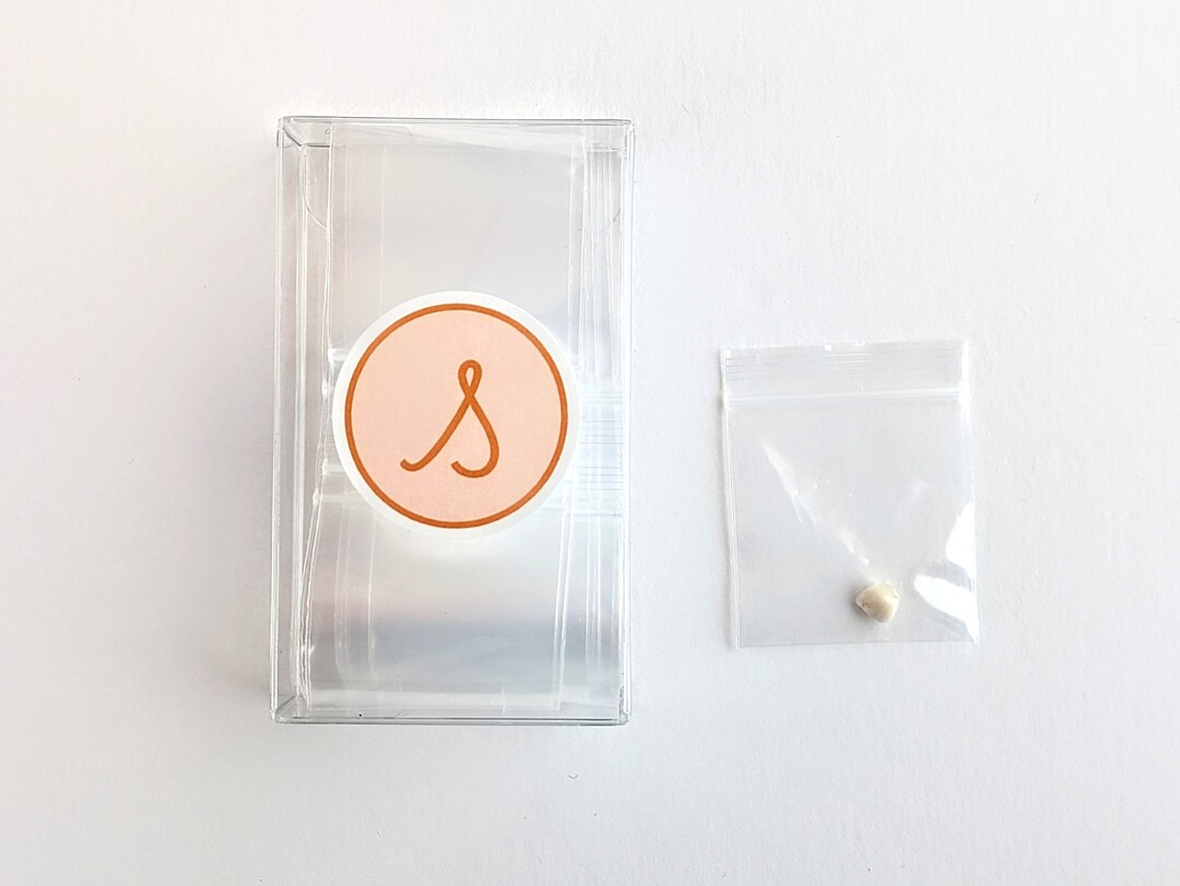 Tooth Fairy Container Small Tooth Bag Clear Reclosable Ziplock Bag ...