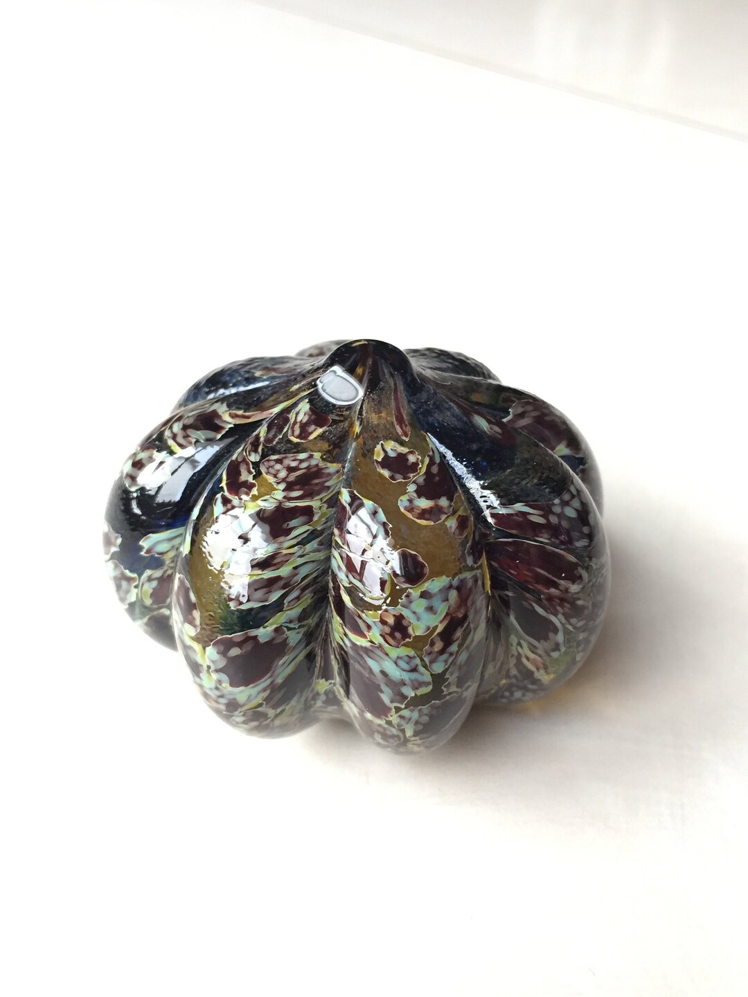 Small Space Barnacle - Art Glass Paperweight - Etsy