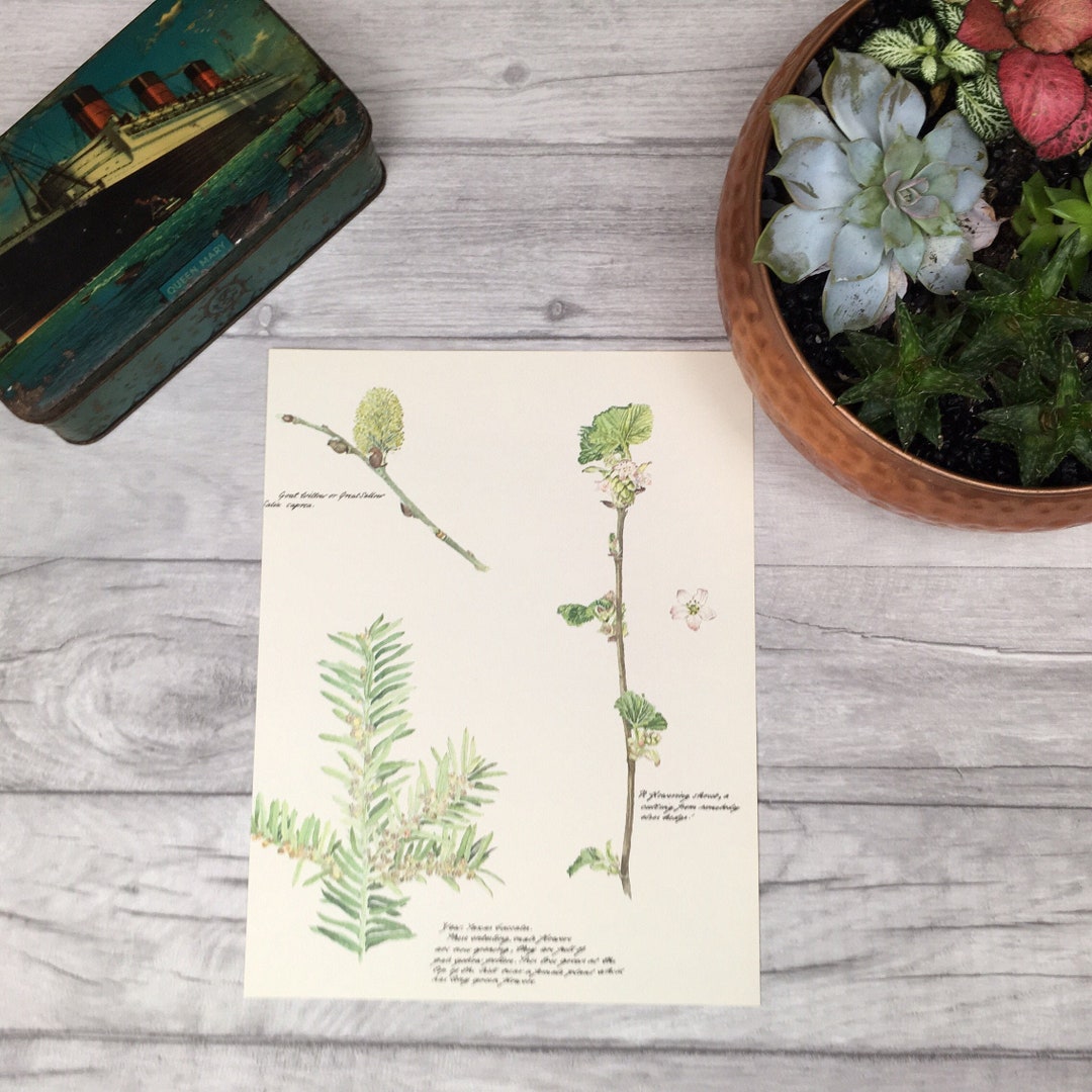 Greenery Print Floral Print, Wall Print, Gift for Her, Gift for Him ...