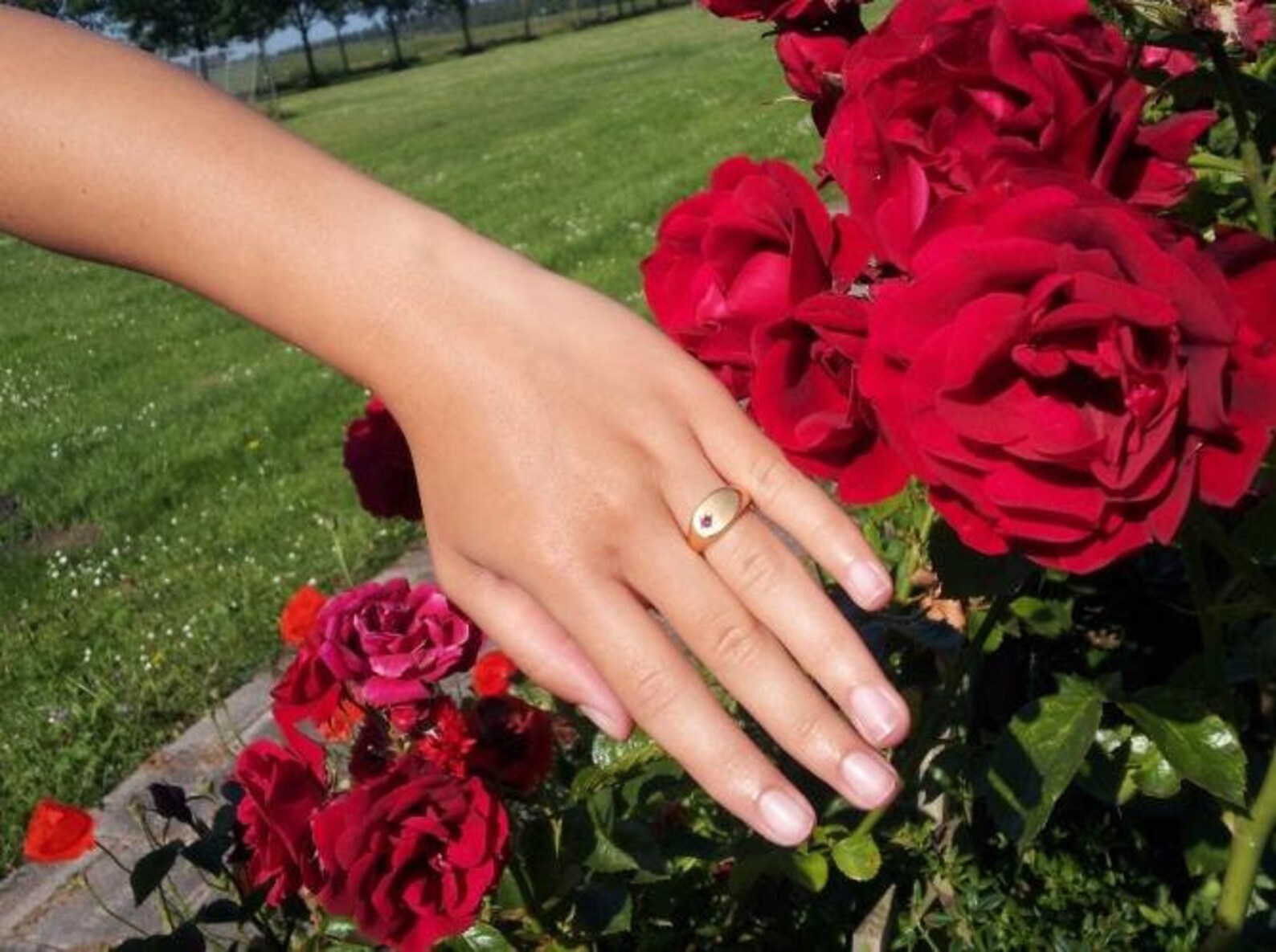 Signet Ring Red Ruby Ring Gold Emerald Ring Zirkon Ring Gold Signet ...