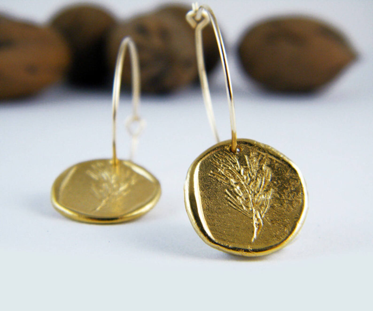 Gold Coin Earrings Hoop Earrings Gold Filled Earrings - Etsy