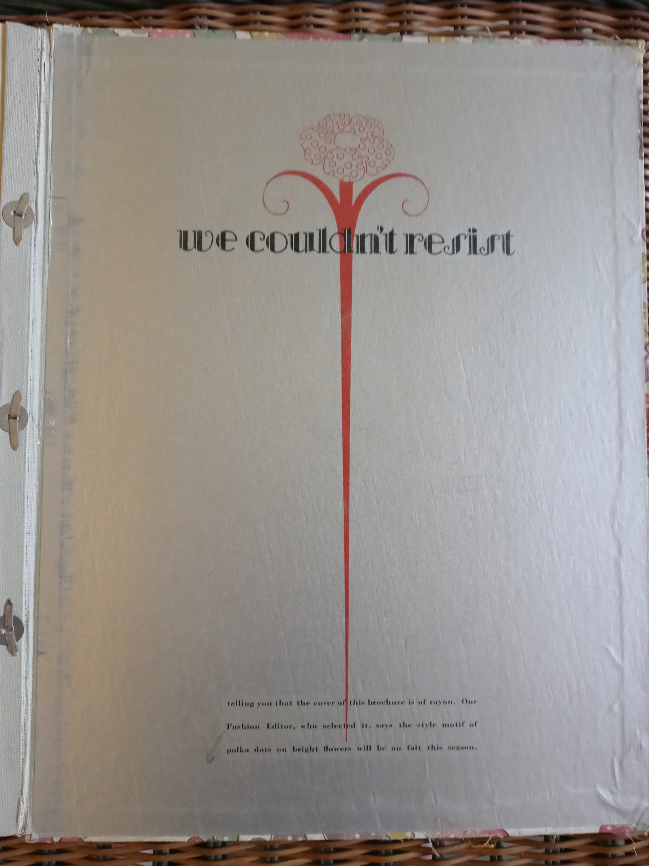 Rare Vintage June 1928 Ladies' Home Journal Magazine Plus Extra Fashion Ads Custom Label ...