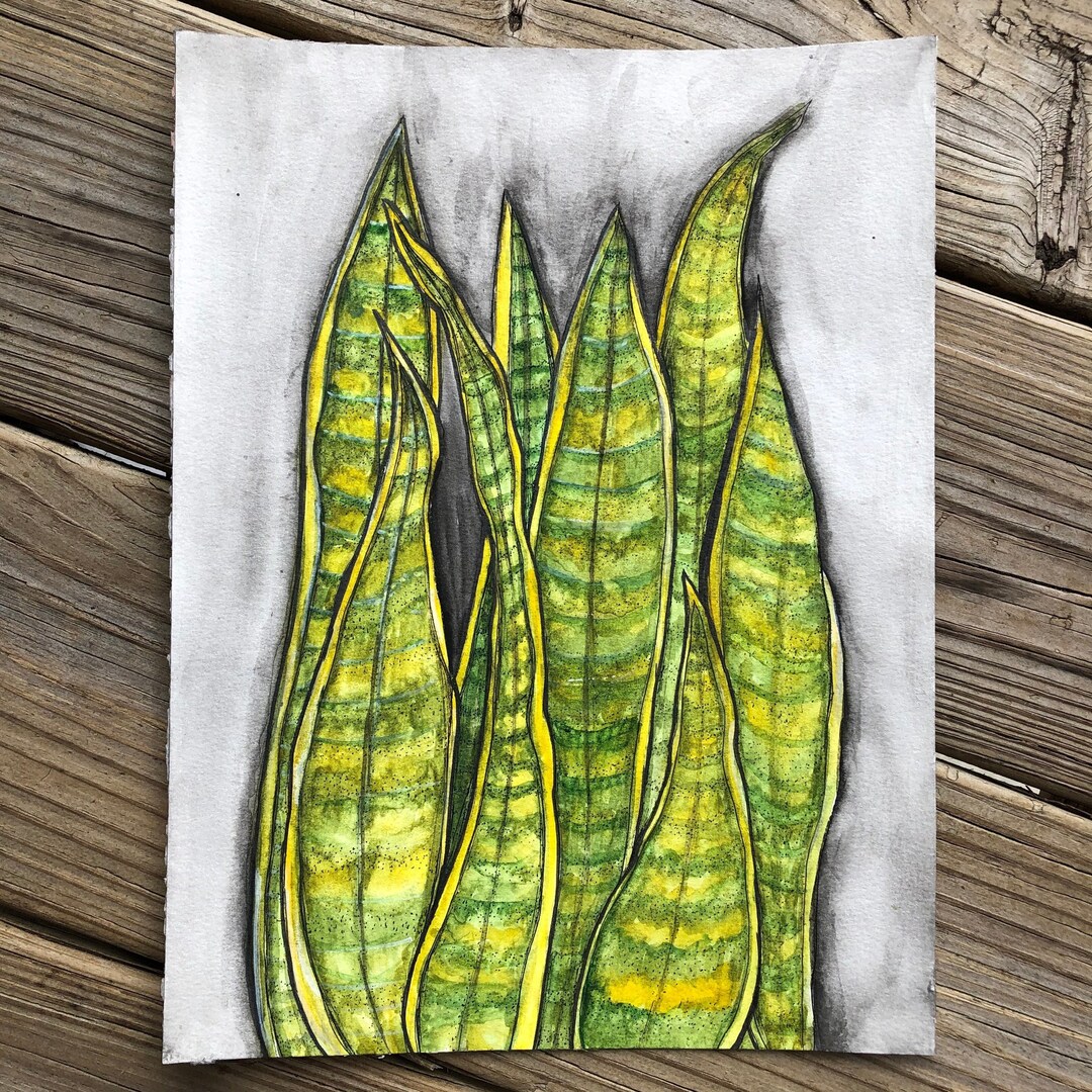 Snake Plant Original Watercolor Painting 9"x12" - Etsy