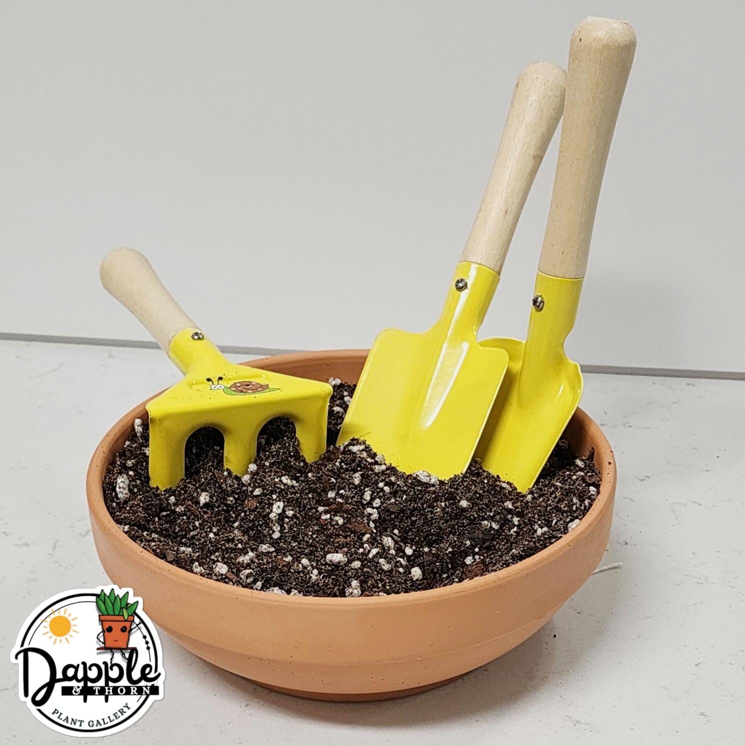 Sproutlet Kit: My First Gardening Kit - Etsy
