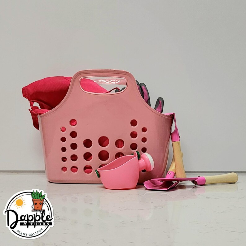 Sproutlet Kit: My First Gardening Kit - Etsy