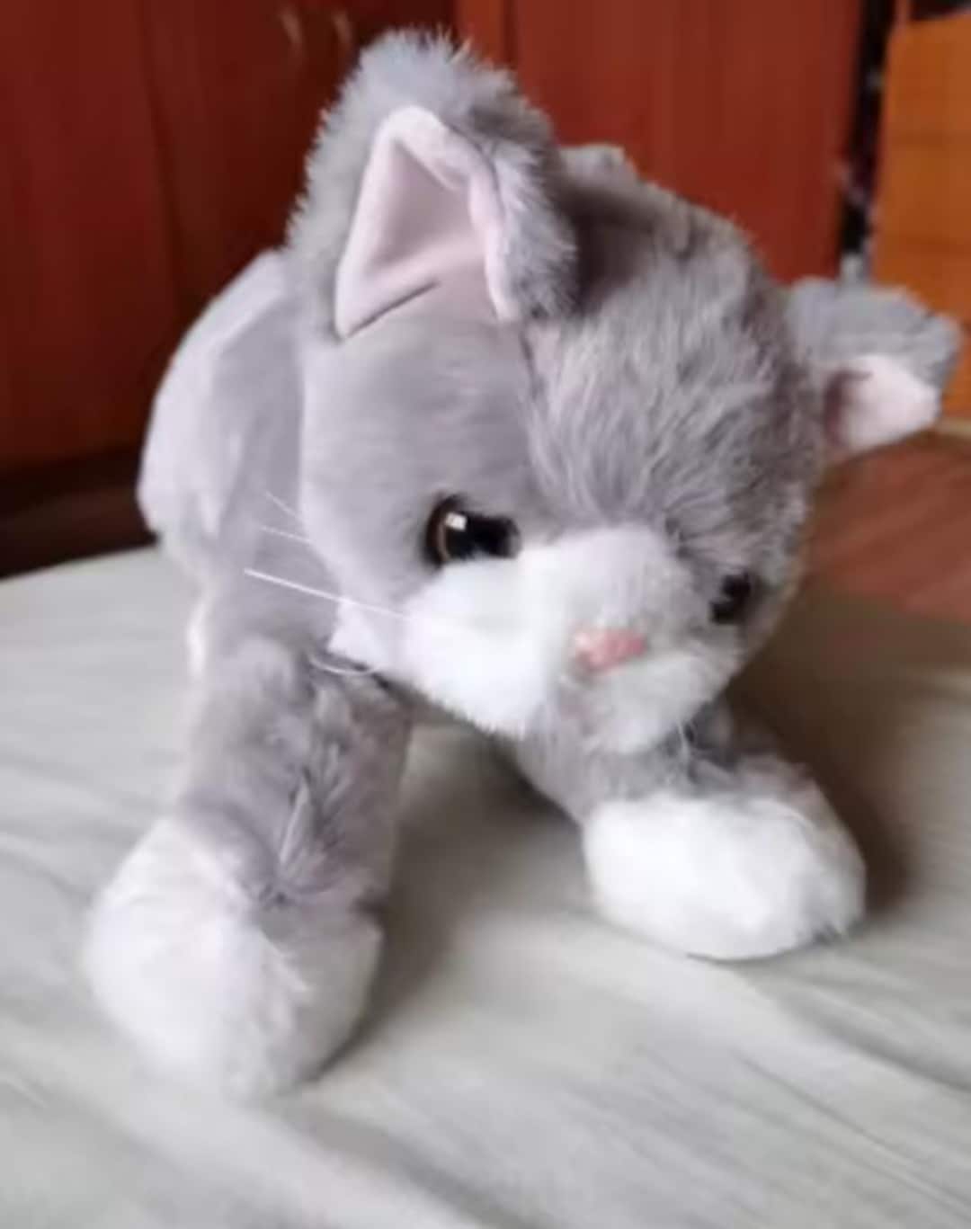 Gray White Plush Cat Toy, Soft Stuffed Kitten, Kawaii Animal Cuddler - Etsy