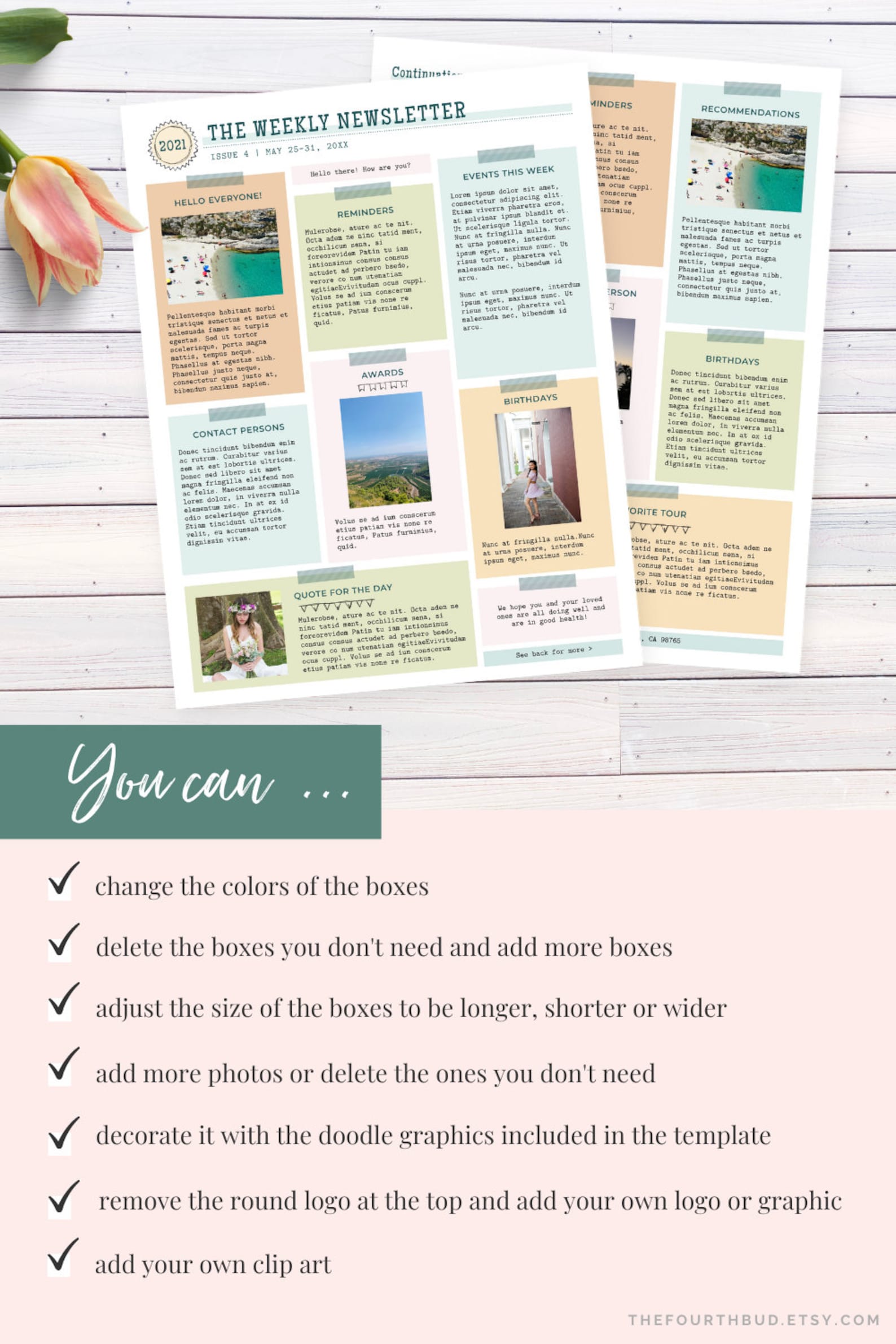 Fun and Bright Newsletter Template Two Pages / Editable Family Reunion ...