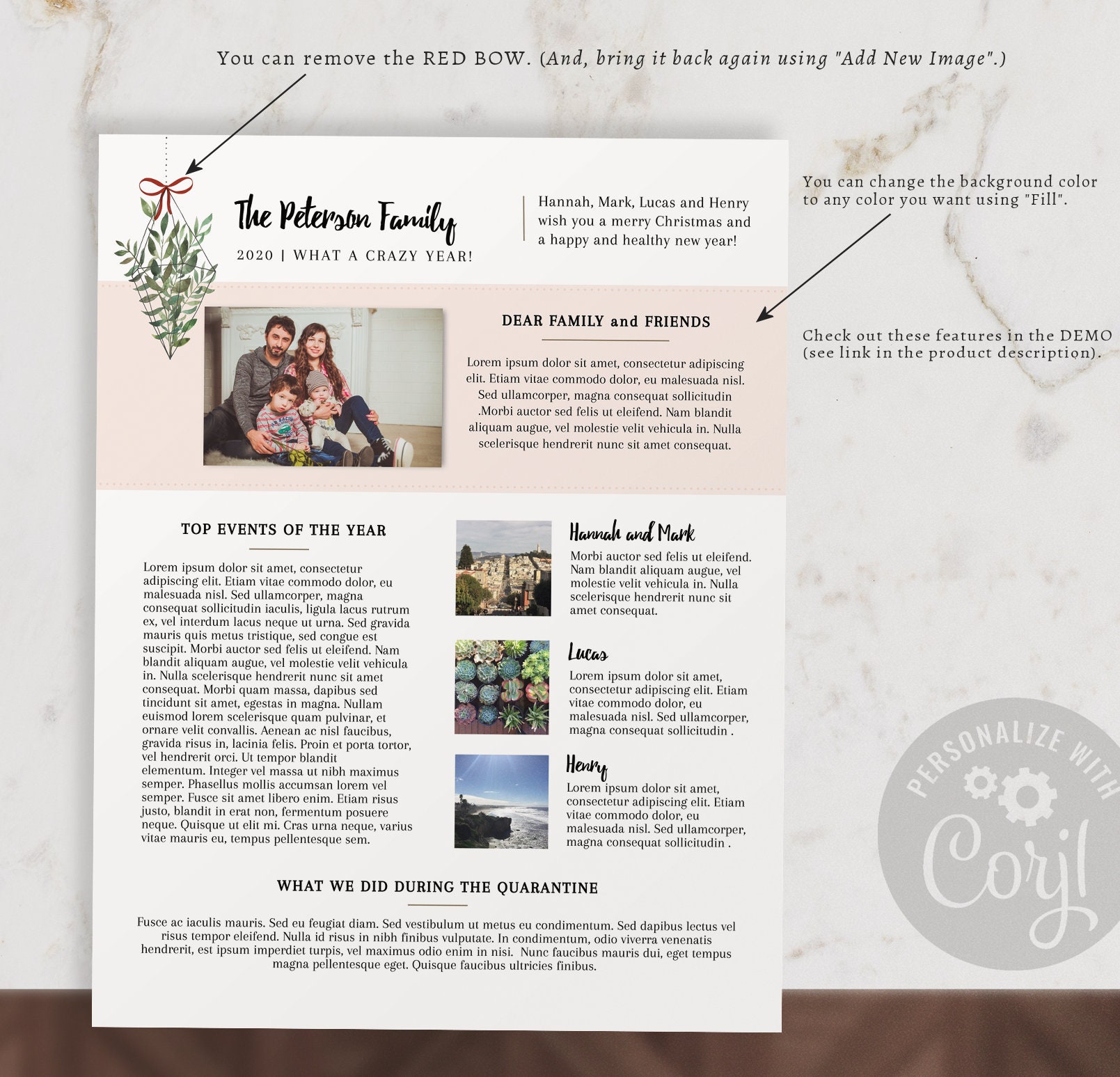 Year in Review Newsletter Two Pages / Family Christmas Newsletter ...