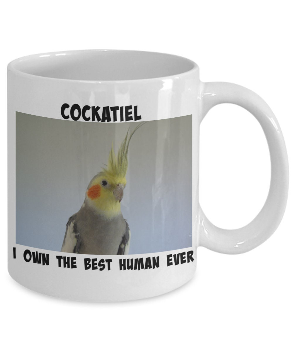 Cockatiel Mug, I Own the Best Human Ever Coffee Mug, Cockatiel Lover ...