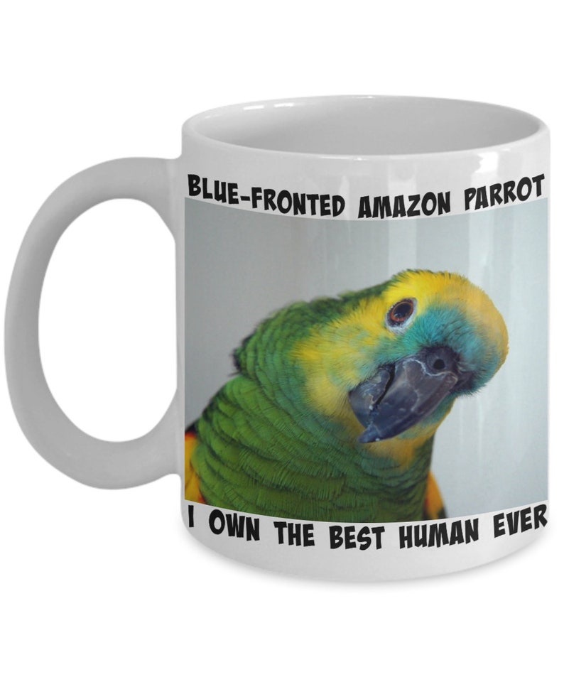 Blue-fronted Amazon Mug, I Own the Best Human Ever Parrot Coffee Cup ...