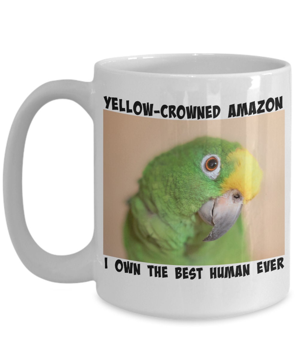 Yellow-crowned Amazon Mug I Own the Best Human Ever Mug - Etsy