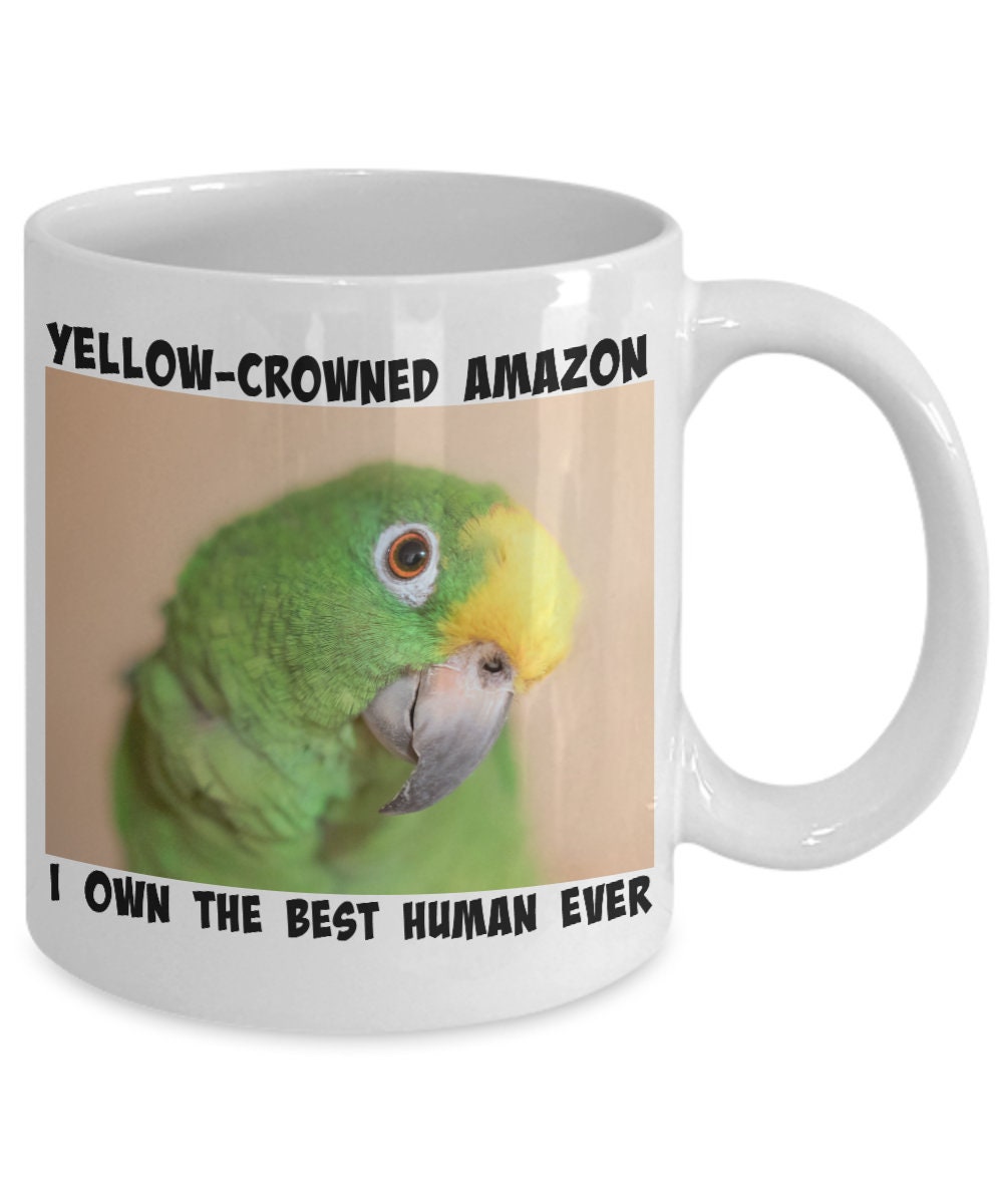 Yellow-crowned Amazon Mug I Own the Best Human Ever Mug - Etsy