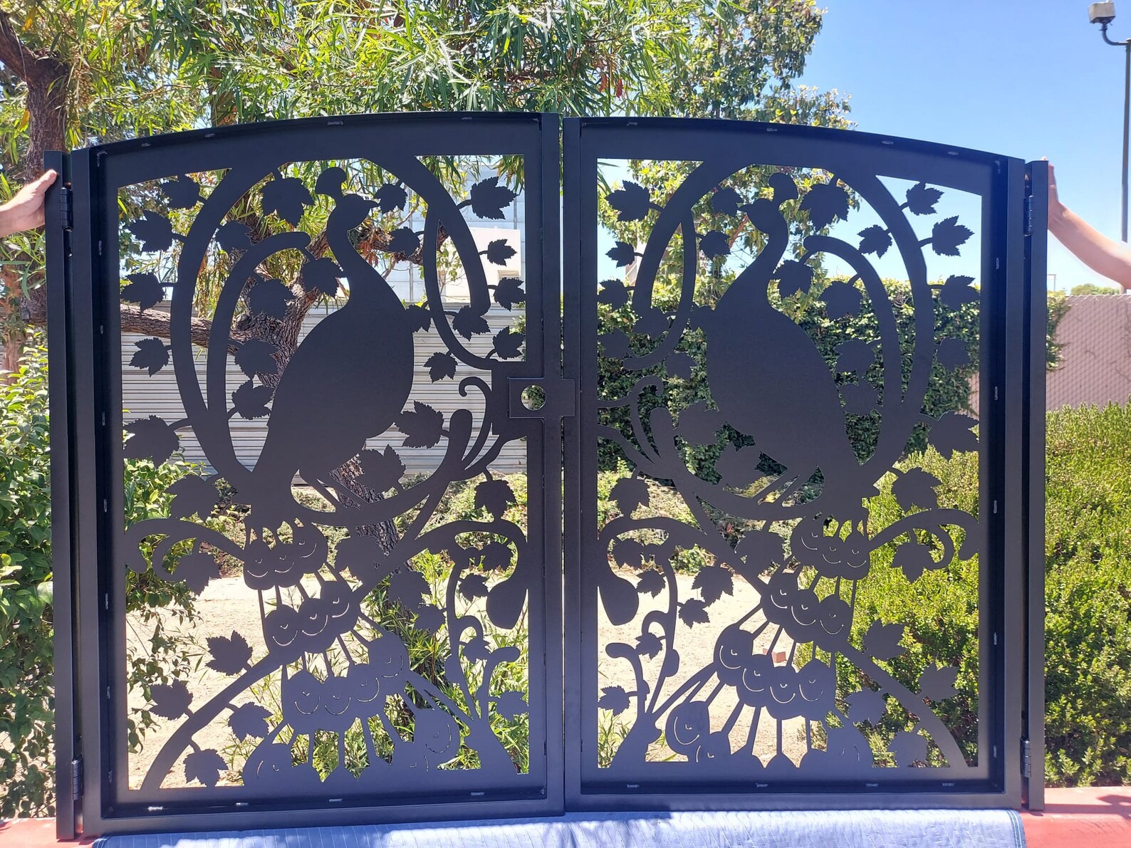 Contemporary Dual Entry Peacock Metal Gate Ornamental Iron Garden Entry ...