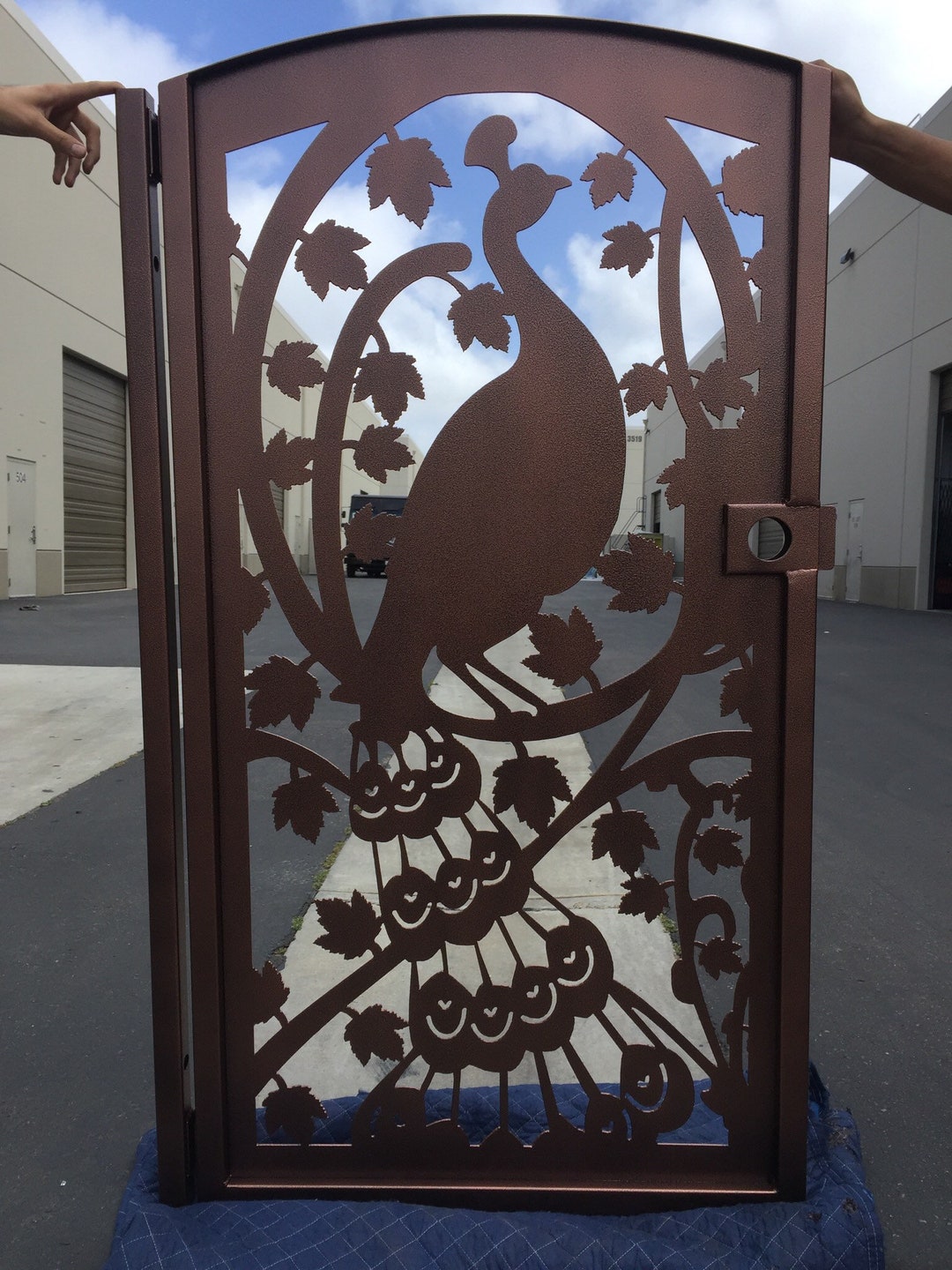 Bird Metal Gate, Custom Art Pedestrian Walk Thru Entry Iron Steel ...
