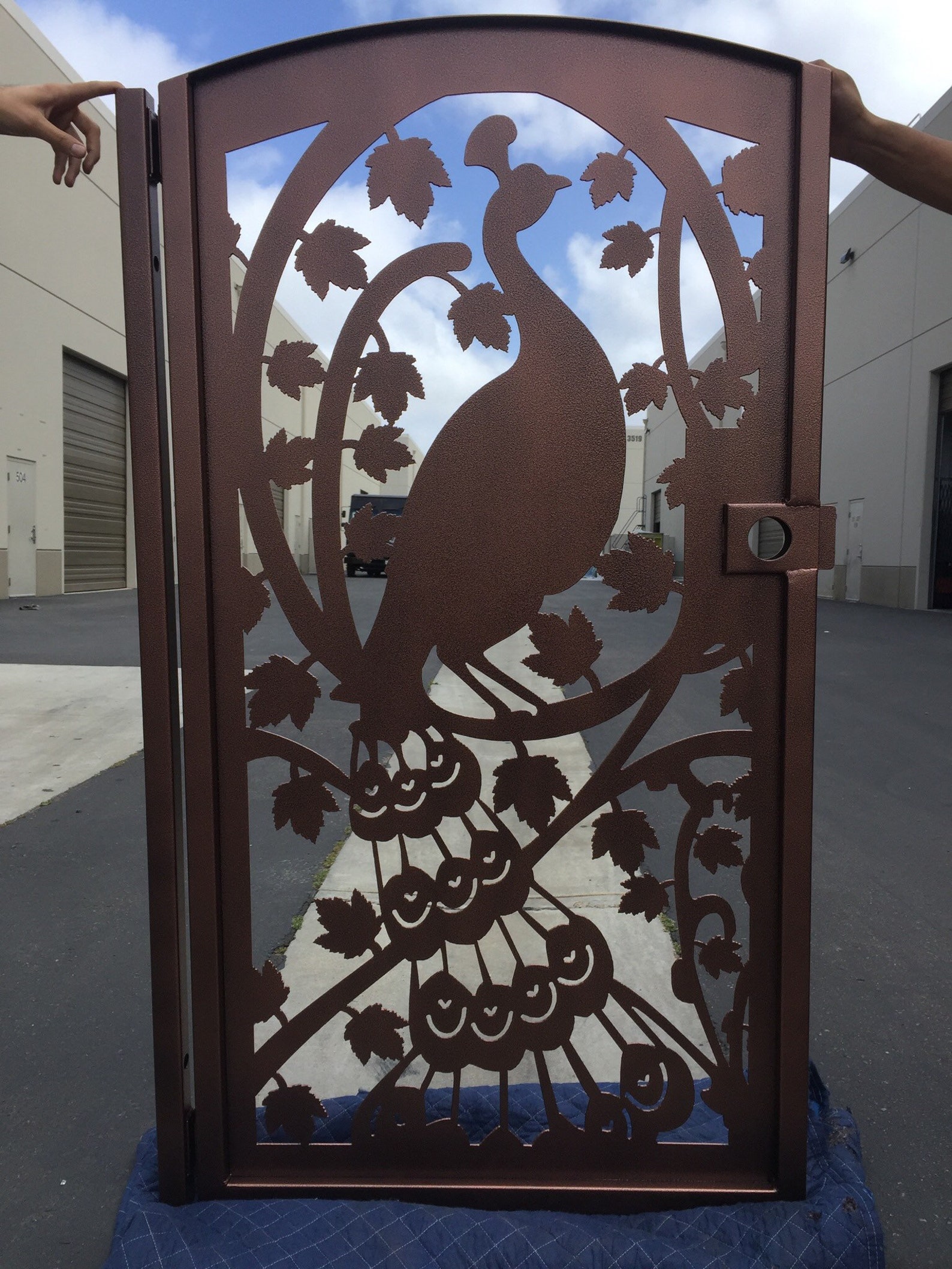 Bird Metal Gate Custom Art Pedestrian Walk Thru Entry Iron | Etsy