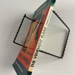 The Vehement Flame by Ludwig Lewisohn – the Story of Stephen Escott ...