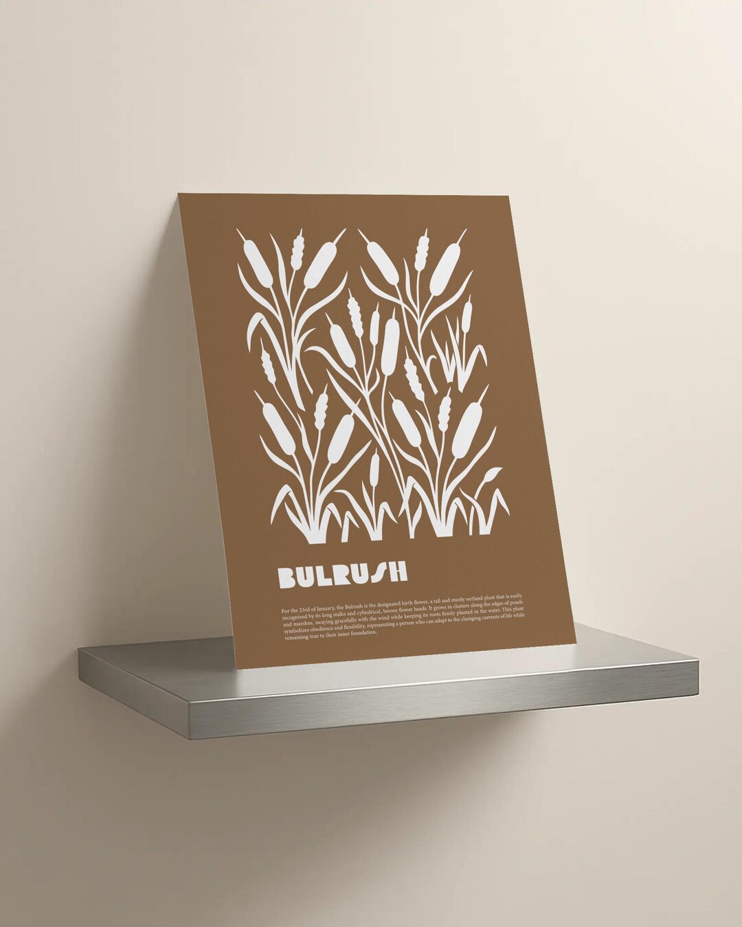 Birth Flower January 23 Print | Bulrush Minimalist Botanical Poster ...