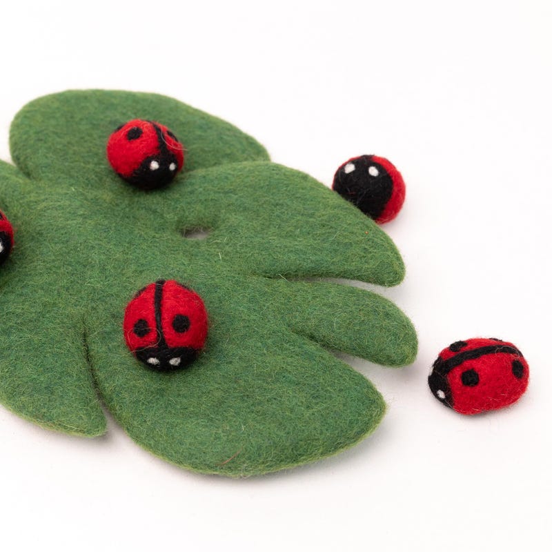 Felt Ladybug - Etsy