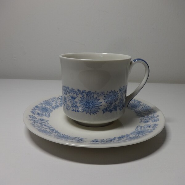 Translucent China - Etsy