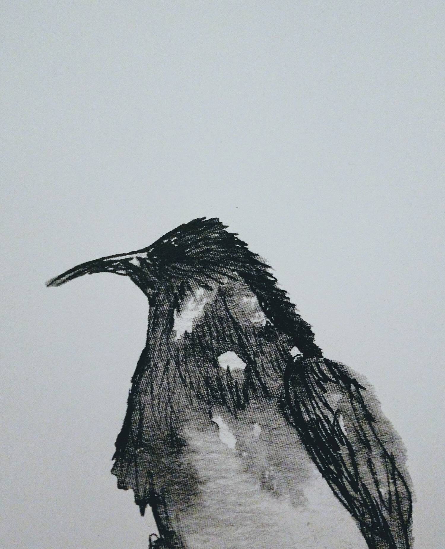 8 x 10 print of original ink wash bird | Etsy