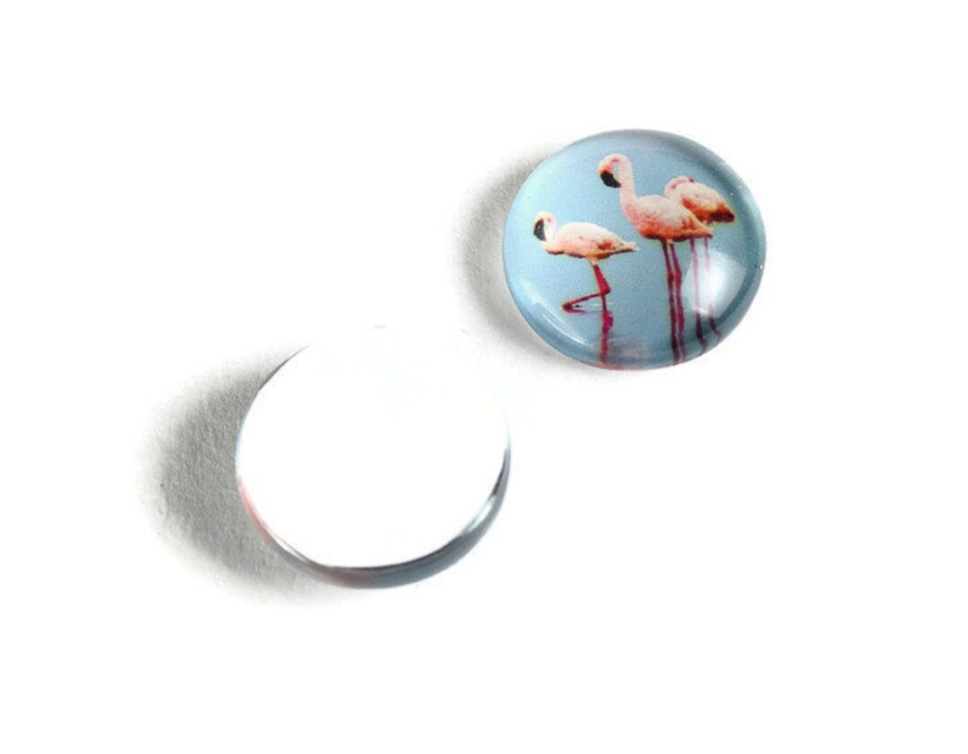 12mm Blue Pink Flamingo Cabochons - 12mm Tropical Cabochons - 12mm Flat ...