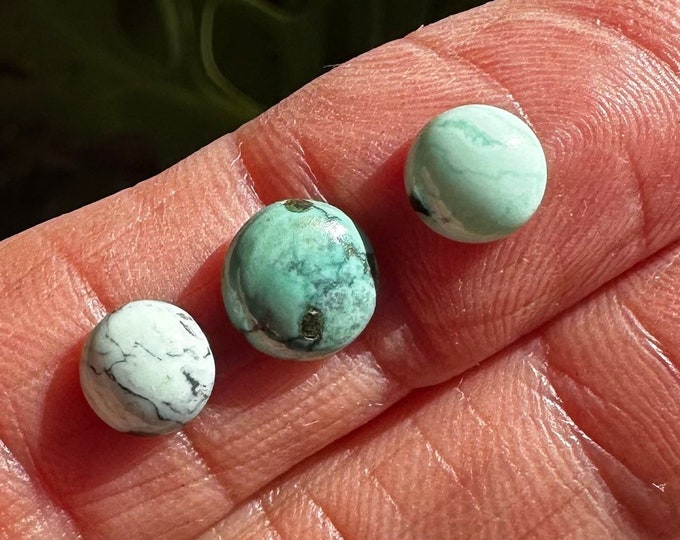 3 New Lander Turquoise. Three Small Round Turquoise Cabochons. Unbacked ...