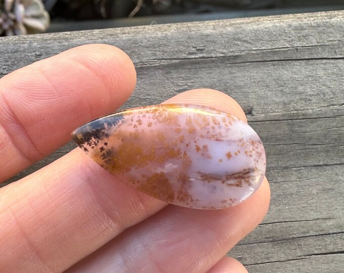 Dendritic Agate Cabochon. Dendrite Stones. Scenic Agate. Brown and ...