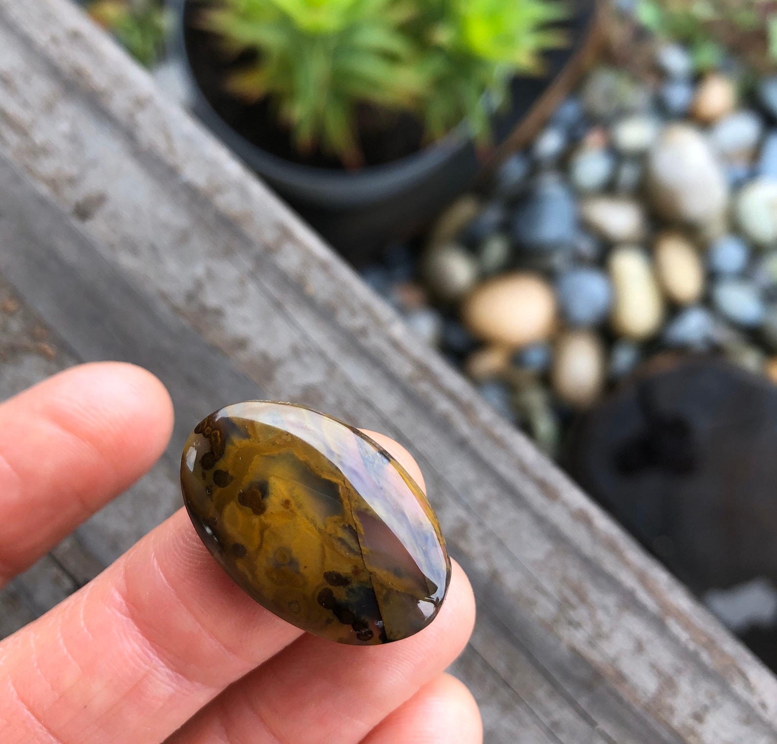Polka Dot Agate Cabochon. Spotted Stone. Natural Agate. Earth - Etsy ...