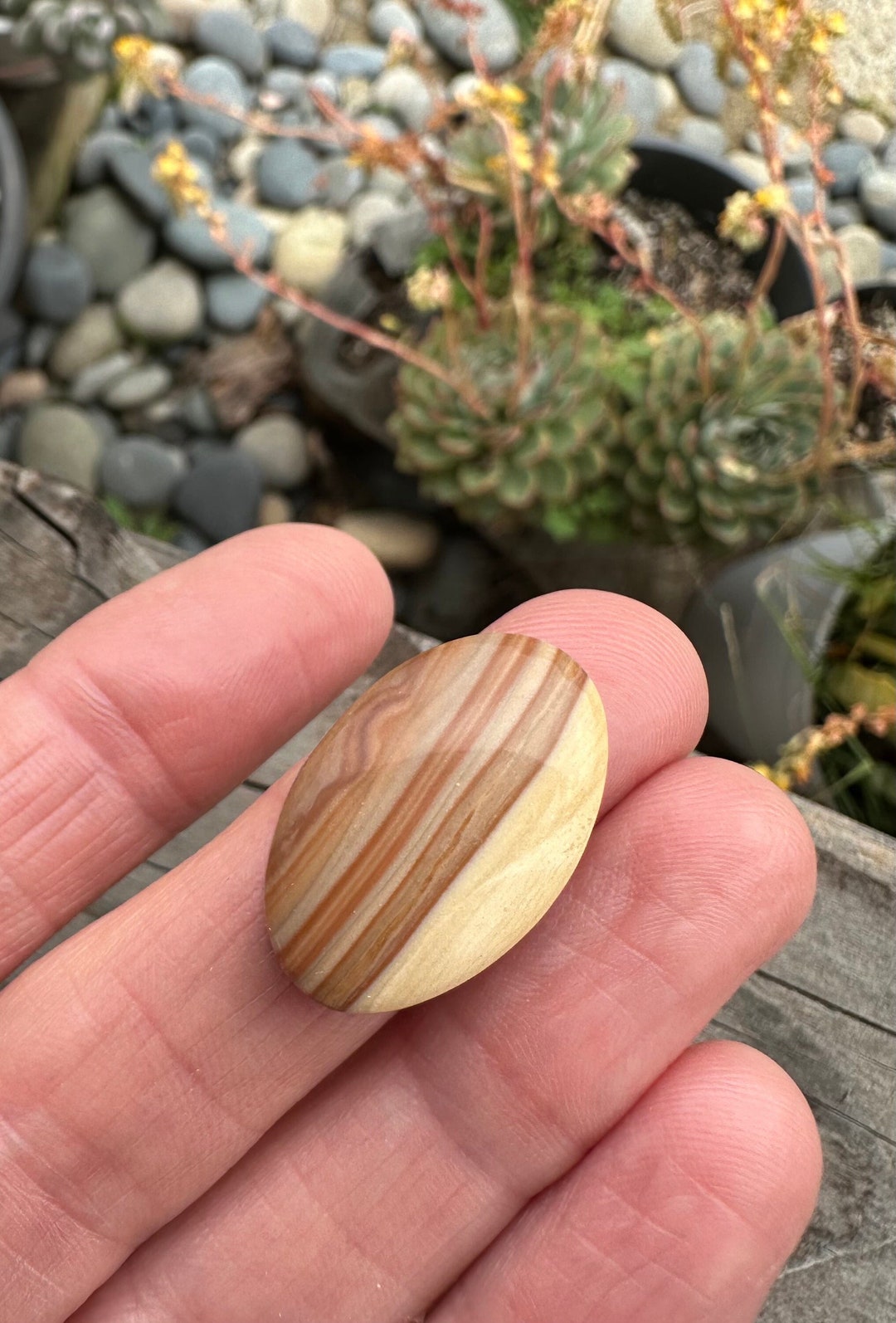 AAA Scenic Wonderstone Cabochon. Oval Shaped Stone. Earth Toned Stones ...