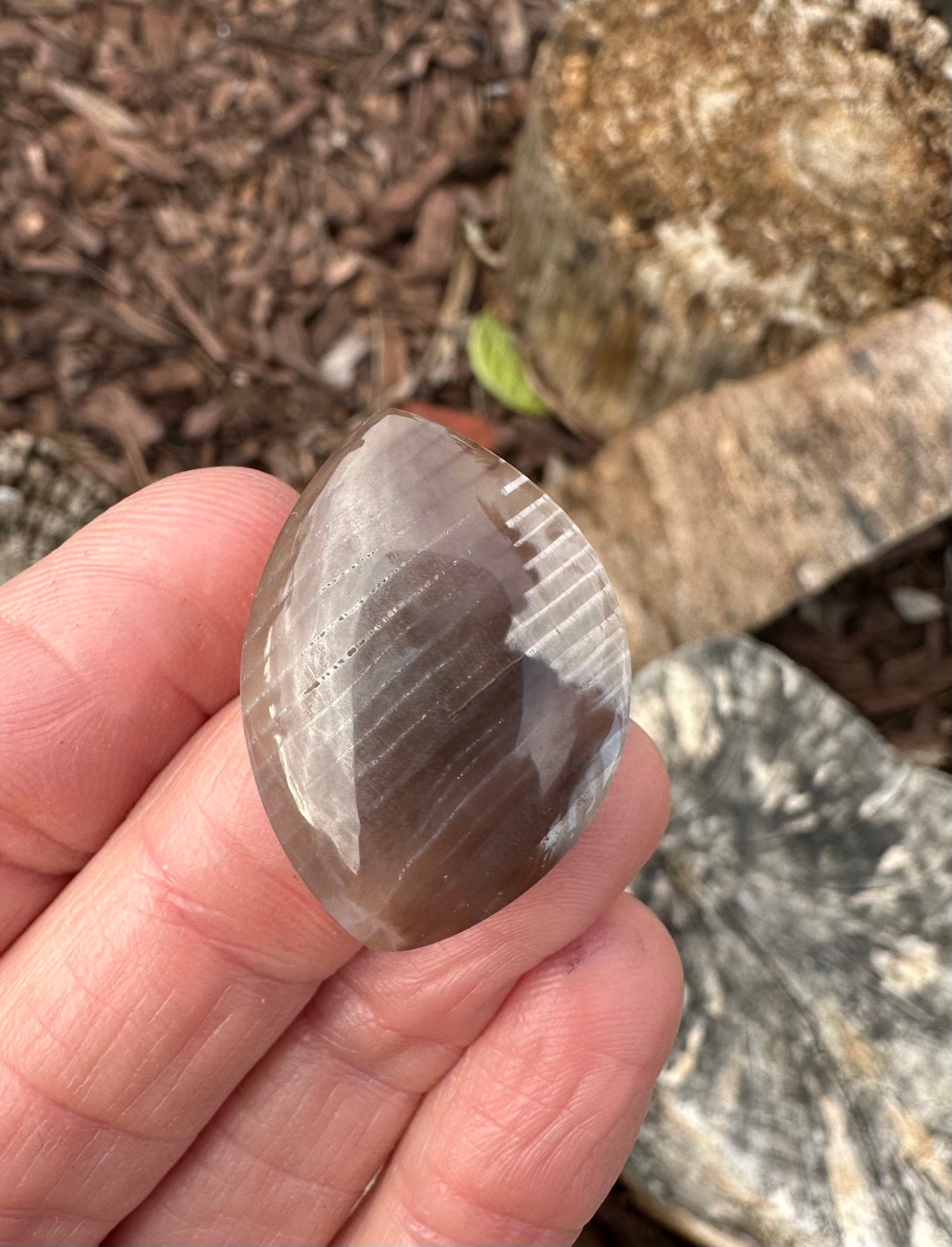 CLEARANCE! Polish Flint Cabochon. Shield Shaped Stones. Striped Stone ...