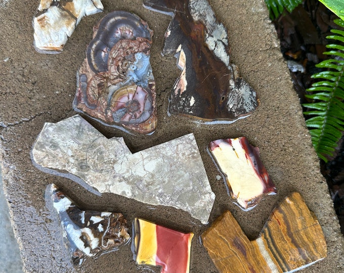 Lapidary Slab Lot. Rock Slabs. Mixed Slab Lot #18. Rock Hound. Bargain ...