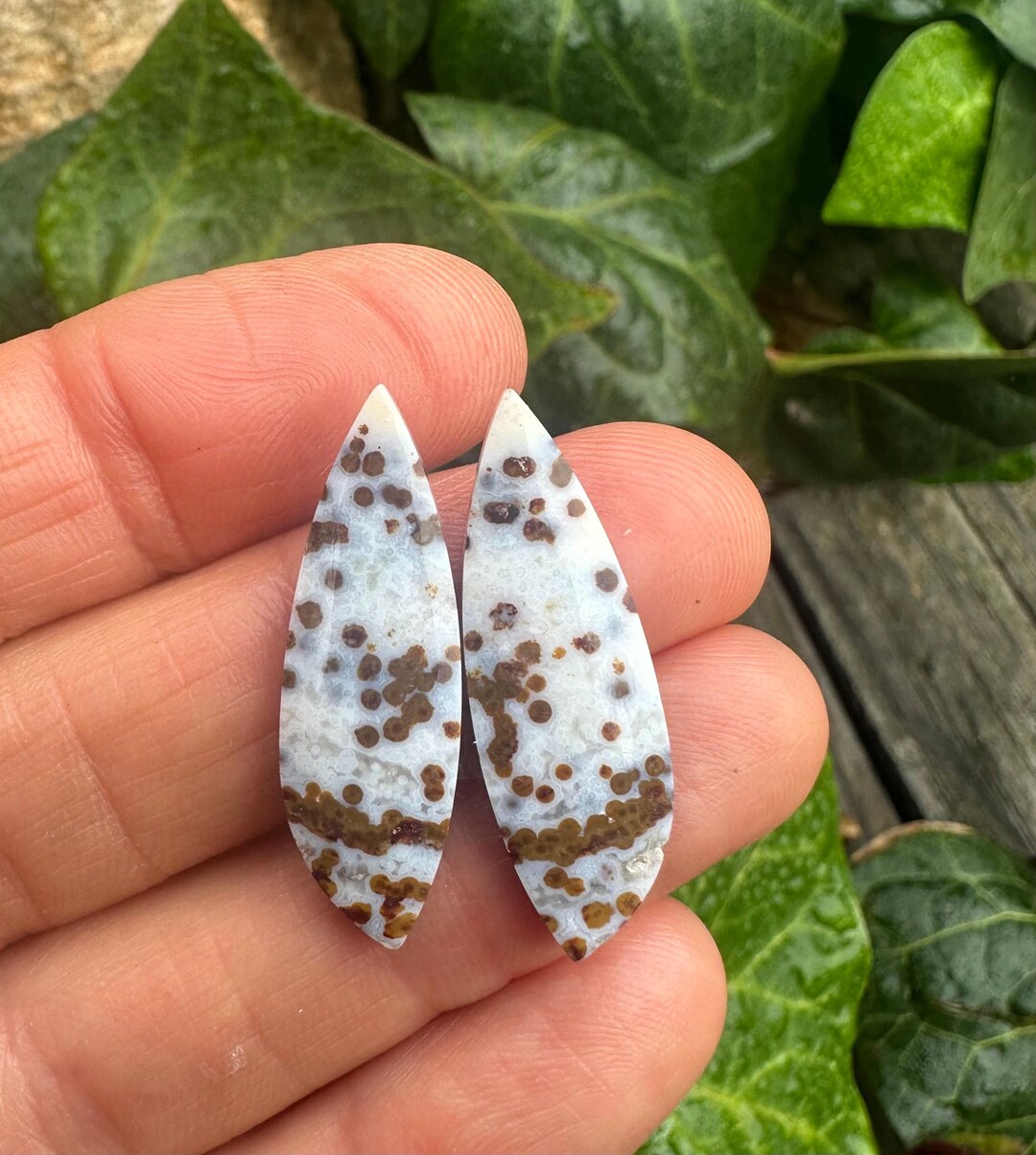 Super Saver Set. 2 Spotted Ocean Jasper Stones. Wide Teardrop Cabochons ...