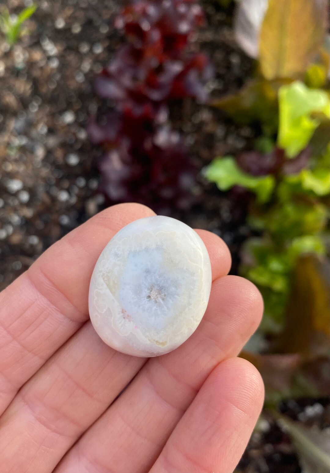 SALE Solar Quartz. Shiva Eye. Solar Eye. Destash. Solar Quartz Cabochon ...