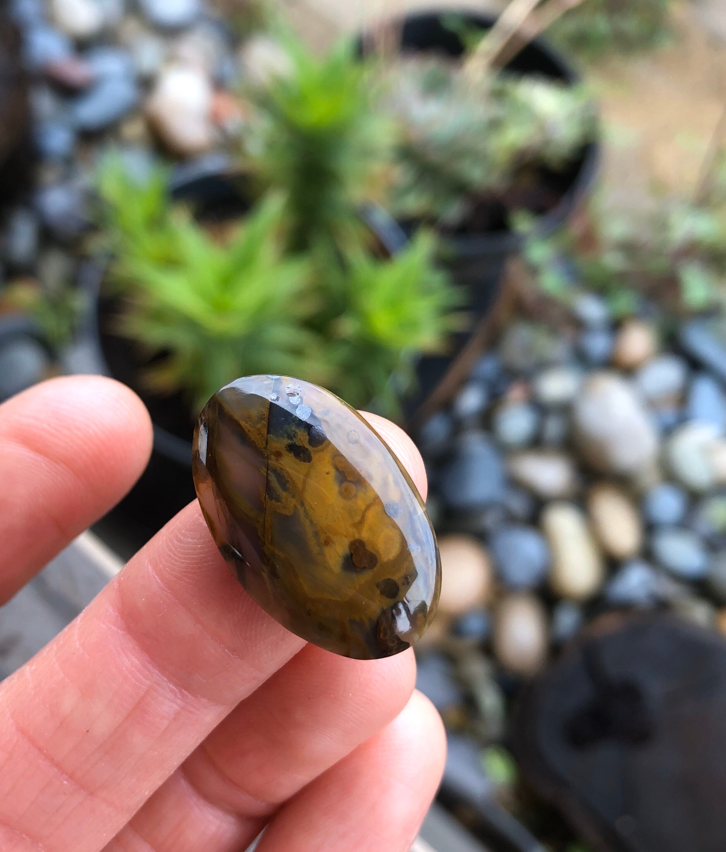 Polka Dot Agate Cabochon. Spotted Stone. Natural Agate. Earth - Etsy ...